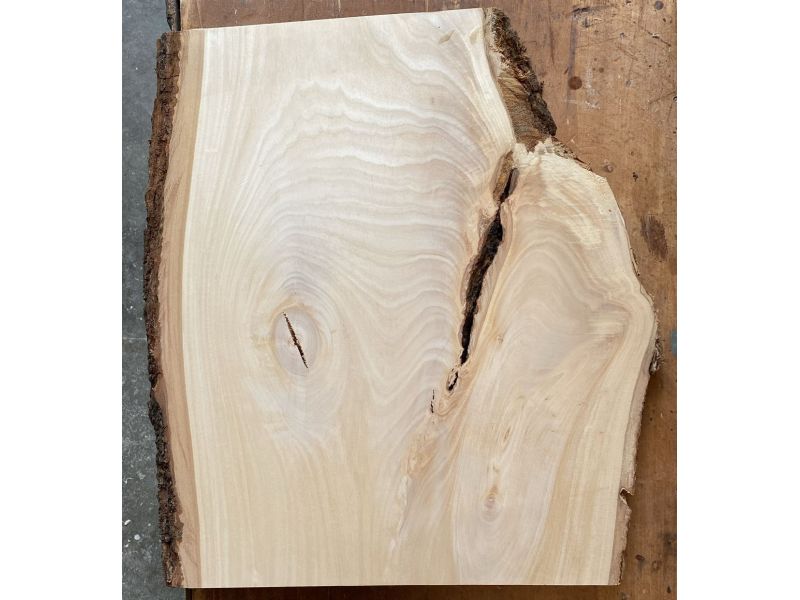Unique Piece In Solid Lime Wood, With Bark, For Pyrography, 36x46 Cm ...